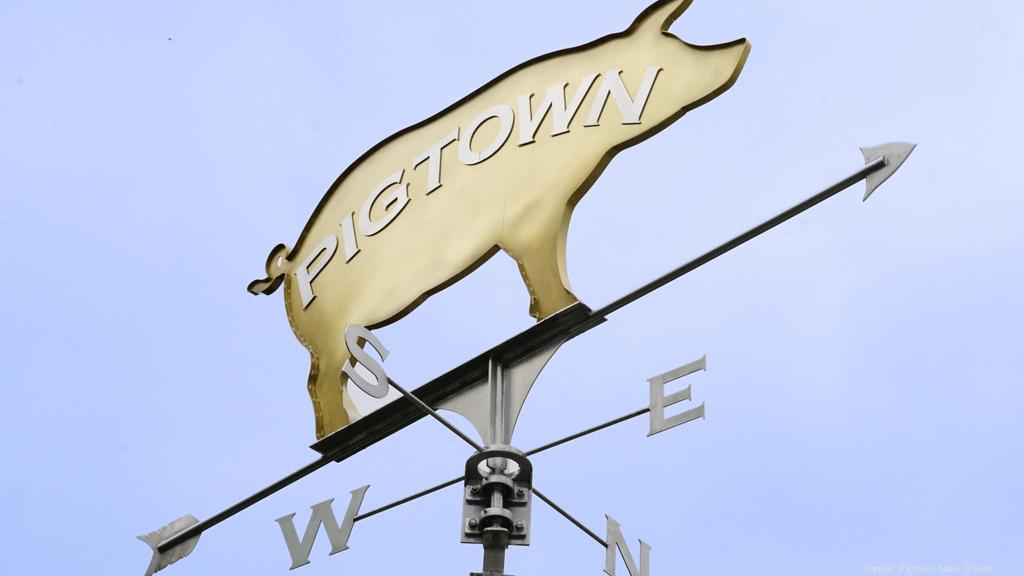 Washington Village / Pigtown - IDS Community Development